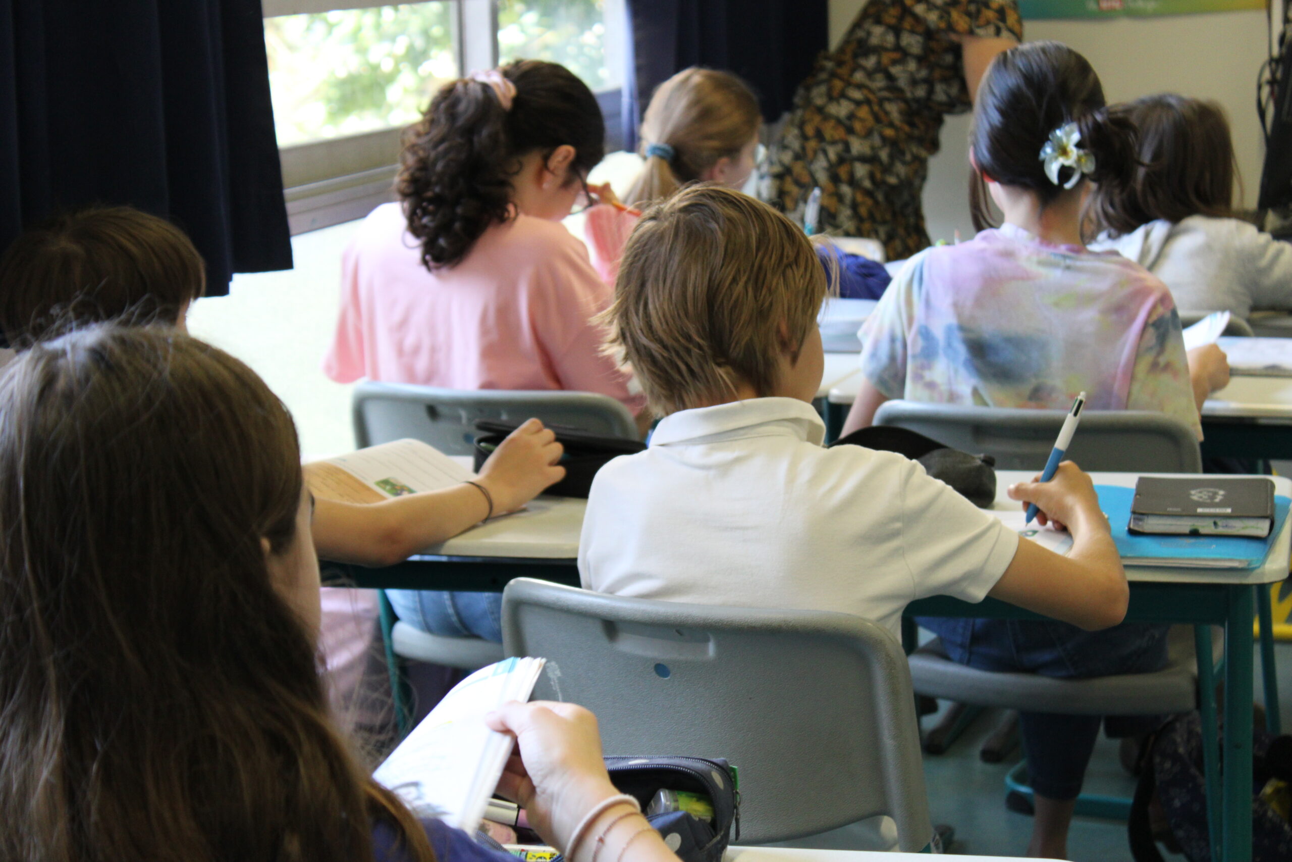 Spécialités et Options proposées - Notre Dame de Sion